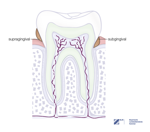 Behandlungsablauf | zahn.de
